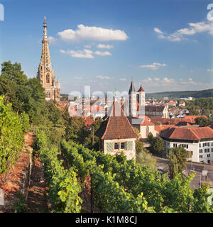 View from vineyards to Esslingen with St. Dionys church and ...