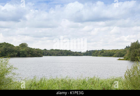 Virginia Water lake in Surrey, UK Stock Photo - Alamy