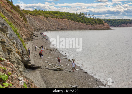 The beach and cliffs at the Joggins fossil cliffs, Nova Scotia, Canada ...