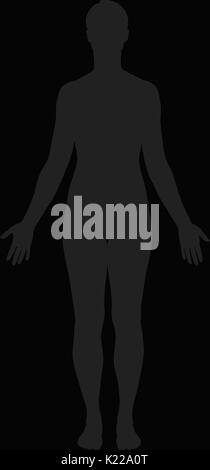 This image shows an anterior view of the woman's morphology Stock Photo ...