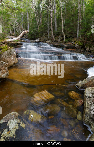Cascade on Whitehouse Brook in Franconia Notch of Lincoln, New ...