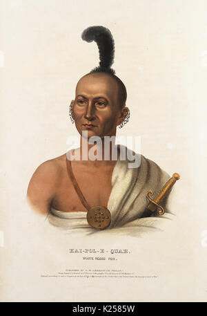 KAI-POL-E-QUAH, WHITE NOSED FOX, from History of the Indian Tribes of ...