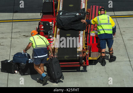 Baggage handler unloading luggage from a Boeing 737 jet aircraft at ...