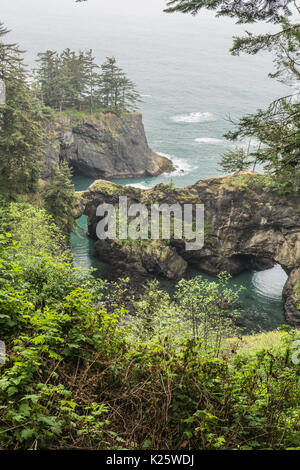 Natural Bridges Viewpoint, Oregon, USA. Foliage at the Natural Bridges ...