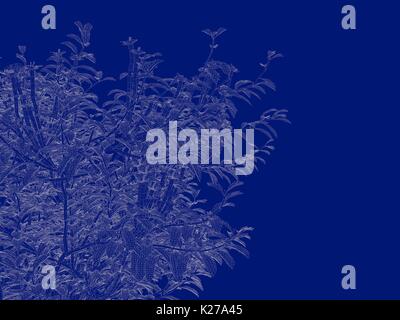 3d rendering of an outlined tree blueprint isolated on blue background ...