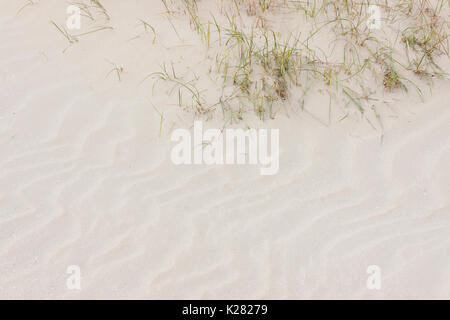 Natural background, sandy beach - Romo Island, Denmark Stock Photo - Alamy
