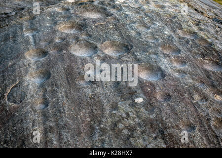 Prehistoric cup and ring mark carved stone rock art outcrop at ...