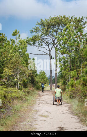 Porter push the cart that carry luggage Stock Photo - Alamy