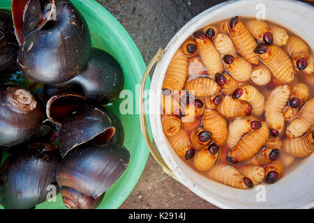 Suri worms (Rhynchophorus palmarum) on a market in Iquitos, Peru Stock ...