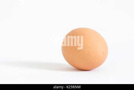One single white egg on the bright blue background with space for text ...