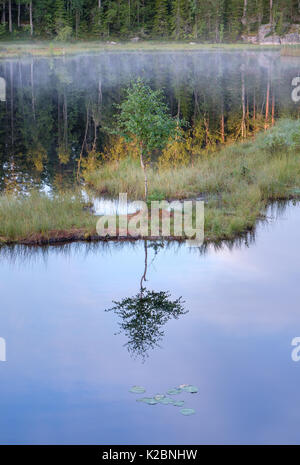early morning landscape with lake, green grass in the foreground ...