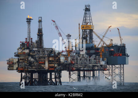 North Sea, Oil production with platforms. Aerial view. Brent Oil Field ...