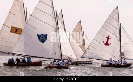 Sloop racing in Sydney Harbour with RIB nearby, New South Wales ...