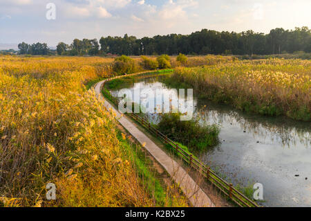 Marsh landscape, Hula Valley, Israel, November Stock Photo - Alamy