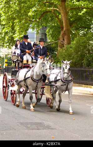 Horse-drawn carriage pulled by white horses during the parade at ...