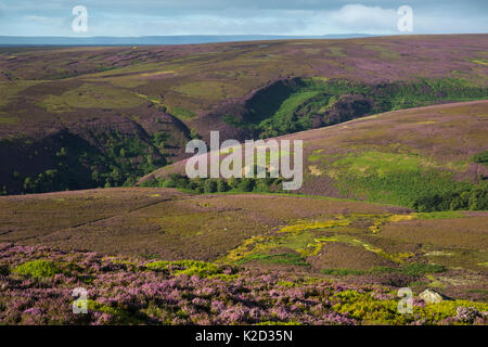 View towards Stainery Clough and Howden Moors. Peak District National ...