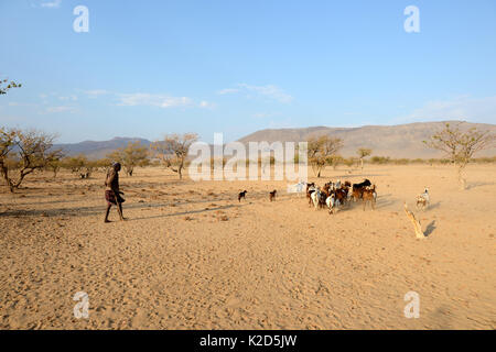 Desert landscape in the Marienfluss valley, Kaokoveld, Namibia Stock ...