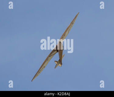 Slingsby Kirby Kite glider Stock Photo - Alamy