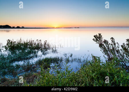Combwich Somerset England UK Stock Photo - Alamy