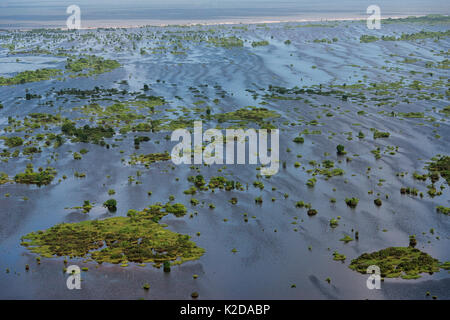 Aerial view of Shell beach, North Guyana, South America Stock Photo - Alamy