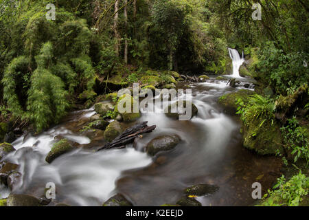 A long exposure shot of a river flowing over rocks in a forest covered ...