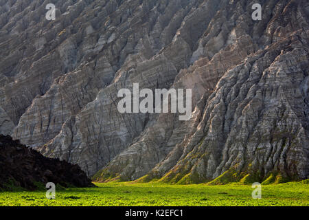 Barcena volcano slope, San Benedicto Island, Revillagigedo Archipelago ...