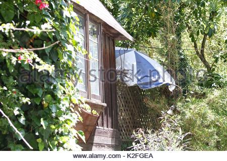 Yvette Vickers' house. General views of the home where former Playboy ...