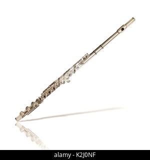 Professional French model Open Holes with Pointed Arm Concert Flute ...