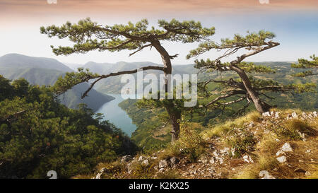 View from famous Banjska stena on Drina river in Tara National Park ...