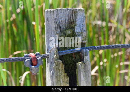 Wooden post in the wetland Stock Photo - Alamy