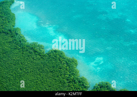 An aerial view of the clear waters of Belize as seen from a small plane ...