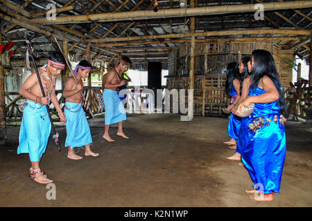 Shuar Indigenous Community in the Amazon, Ecuador Stock Photo - Alamy