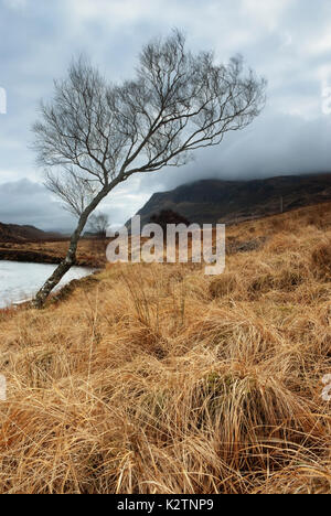Ben Stack hidden by low cloud, Sutherland, Scottish Highlands, Scotland ...