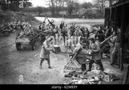 WW2 - British Land Girls at work Stock Photo - Alamy