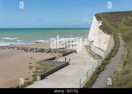 The Beach and Chalk Cliffs at Saltdean, East Sussex, UK Stock Photo - Alamy