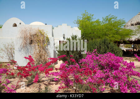 Kibbutz Neot Smadar, Oasis Stock Photo - Alamy
