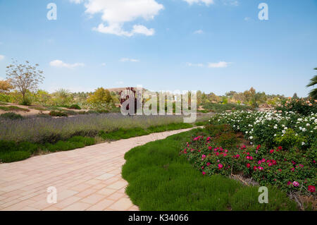 Kibbutz Neot Smadar, Oasis Stock Photo - Alamy