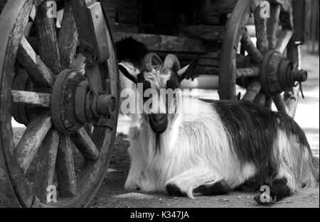 Old wooden cart resting under rustic balcony in ancient village Stock ...