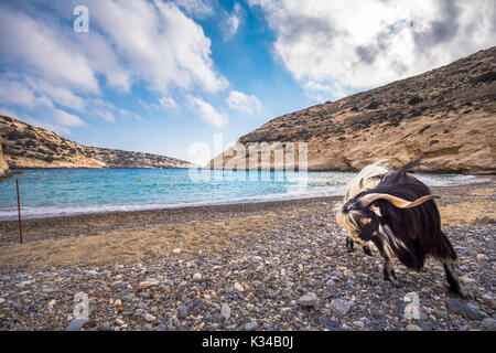 The small isolated gulf of Vathi, in Crete, with sandy beach and some ...