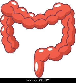 Educational cartoon poster of the human digestive system anatomy with ...