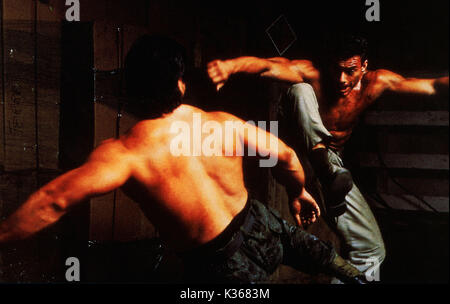 BOLO YEUNG, JEAN-CLAUDE VAN DAMME, BLOODSPORT, 1988 Stock Photo - Alamy
