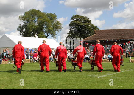 Crayke, Yorkshire, UK. 2nd September, 2017. Red Barrows Wheelbarrow ...