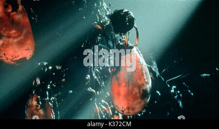 THE MATRIX 1999 Warner Bros. film with Keanu Reeves Stock Photo - Alamy
