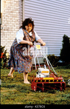 SHE-DEVIL ROSEANNE BARR SHE-DEVIL ROSEANNE BARR Date: 1989 Stock Photo ...