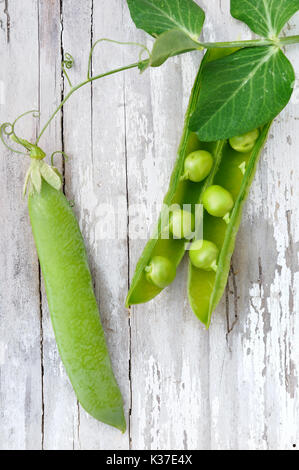 opening, pea pod, pea pods Stock Photo - Alamy