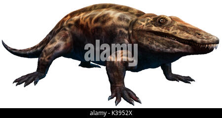 Eryops prehistoric amphibian, illustration Stock Photo - Alamy