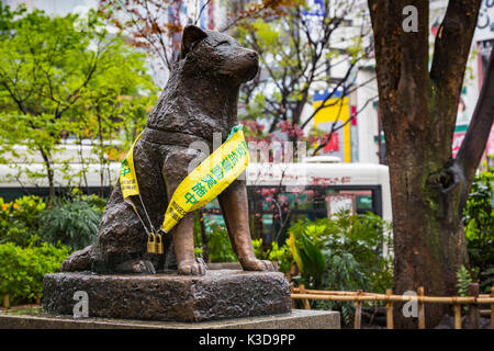 The Hachiko dog bronze statue near the Shibuya train station in the ...