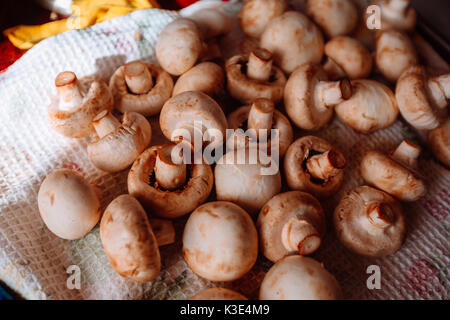 Cut half of a fresh mushroom champignon isolated on white background ...