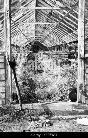 Rundown Kidby Nurseries, Little Clacton, Essex, in a state of decline ...