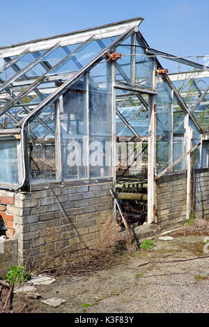 Rundown Kidby Nurseries, Little Clacton, Essex, in a state of decline ...
